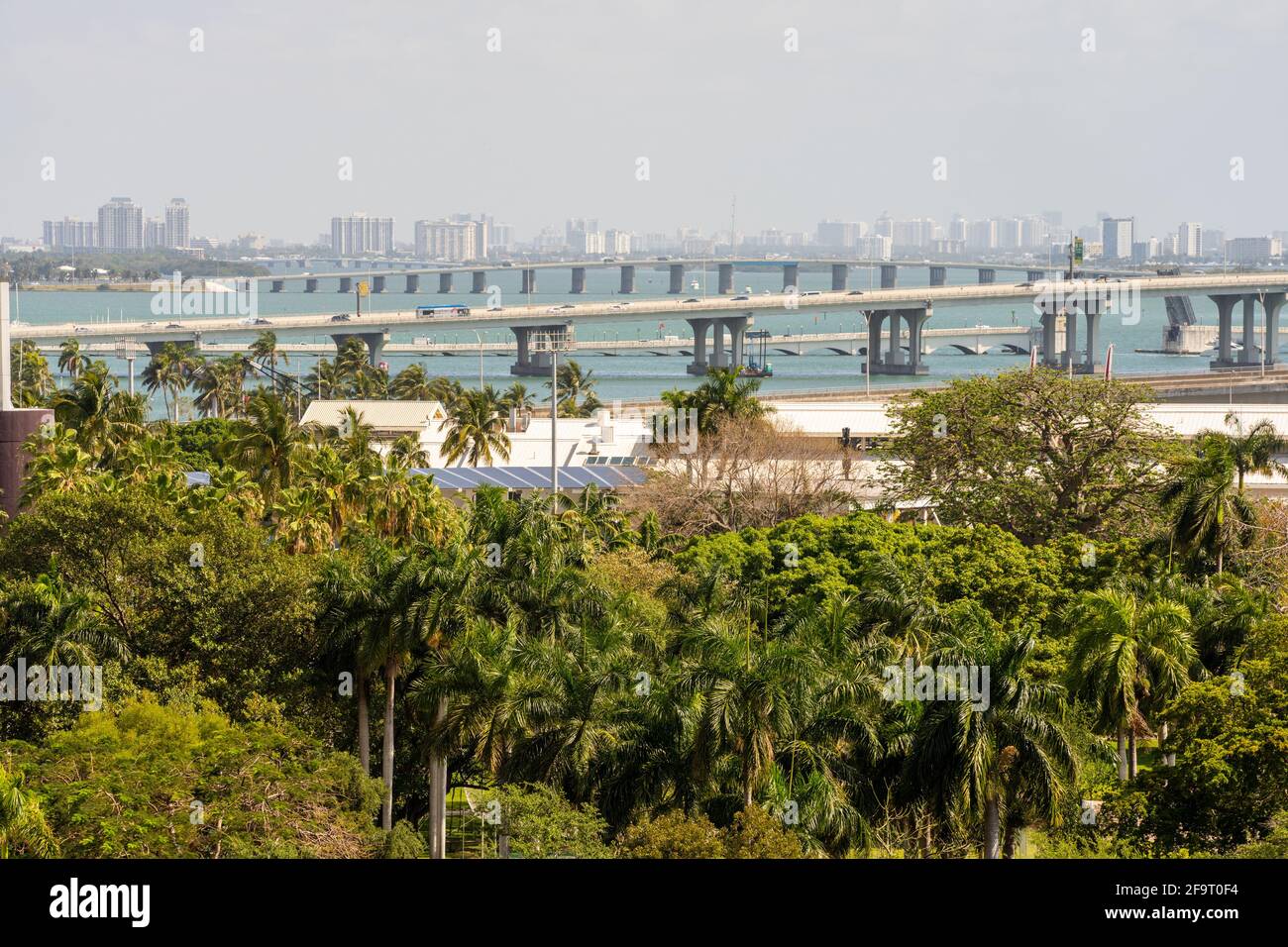Aerial photo bridges in Miami over Biscayne Bay with palm trees park ...