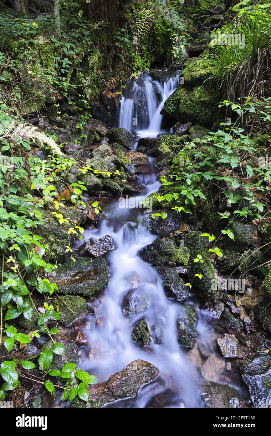 Small stream on a hike Stock Photo - Alamy