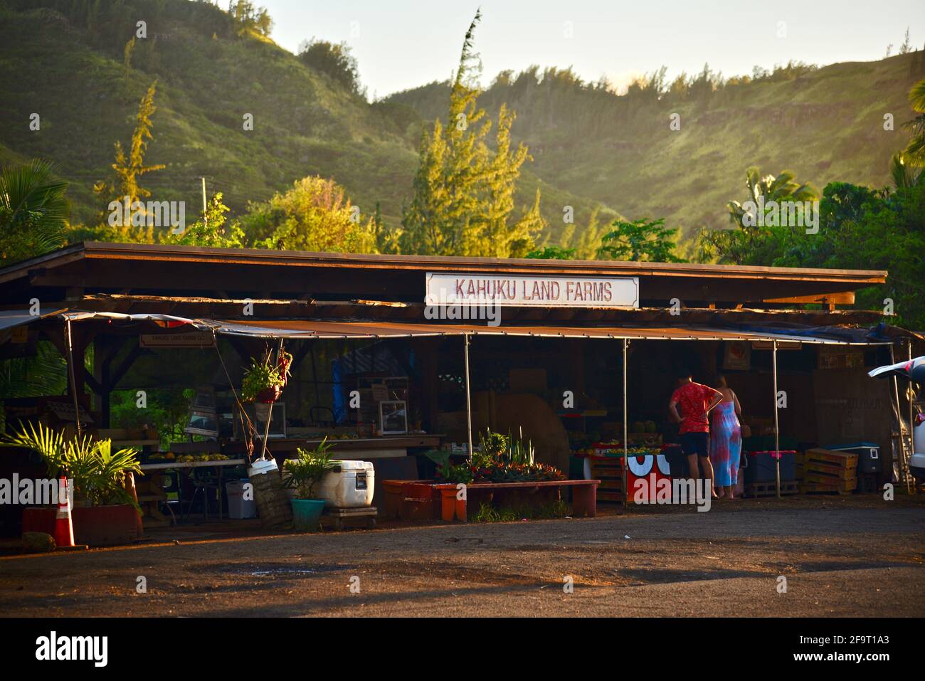 Young couple shopping during sunset at roadside farm market stand at ...
