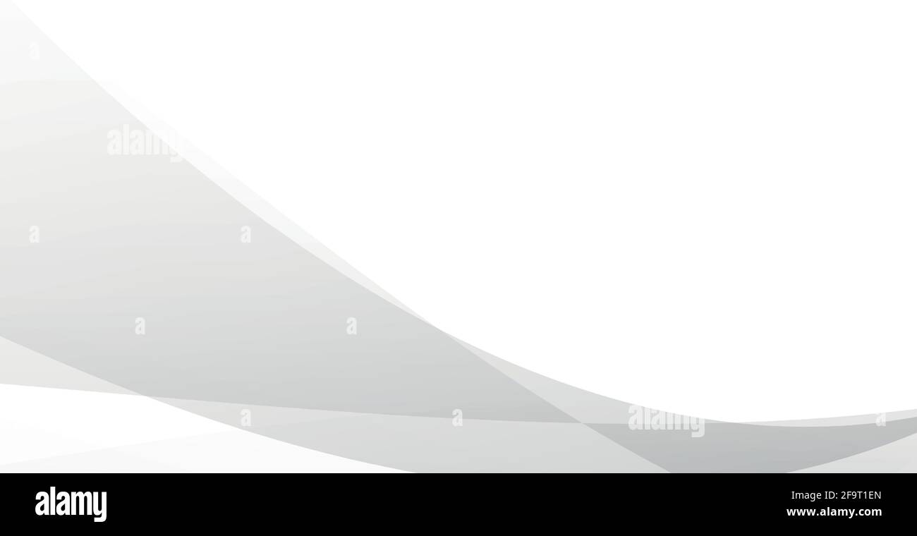 Abstract gray lines on white background - Vector illustration Stock ...