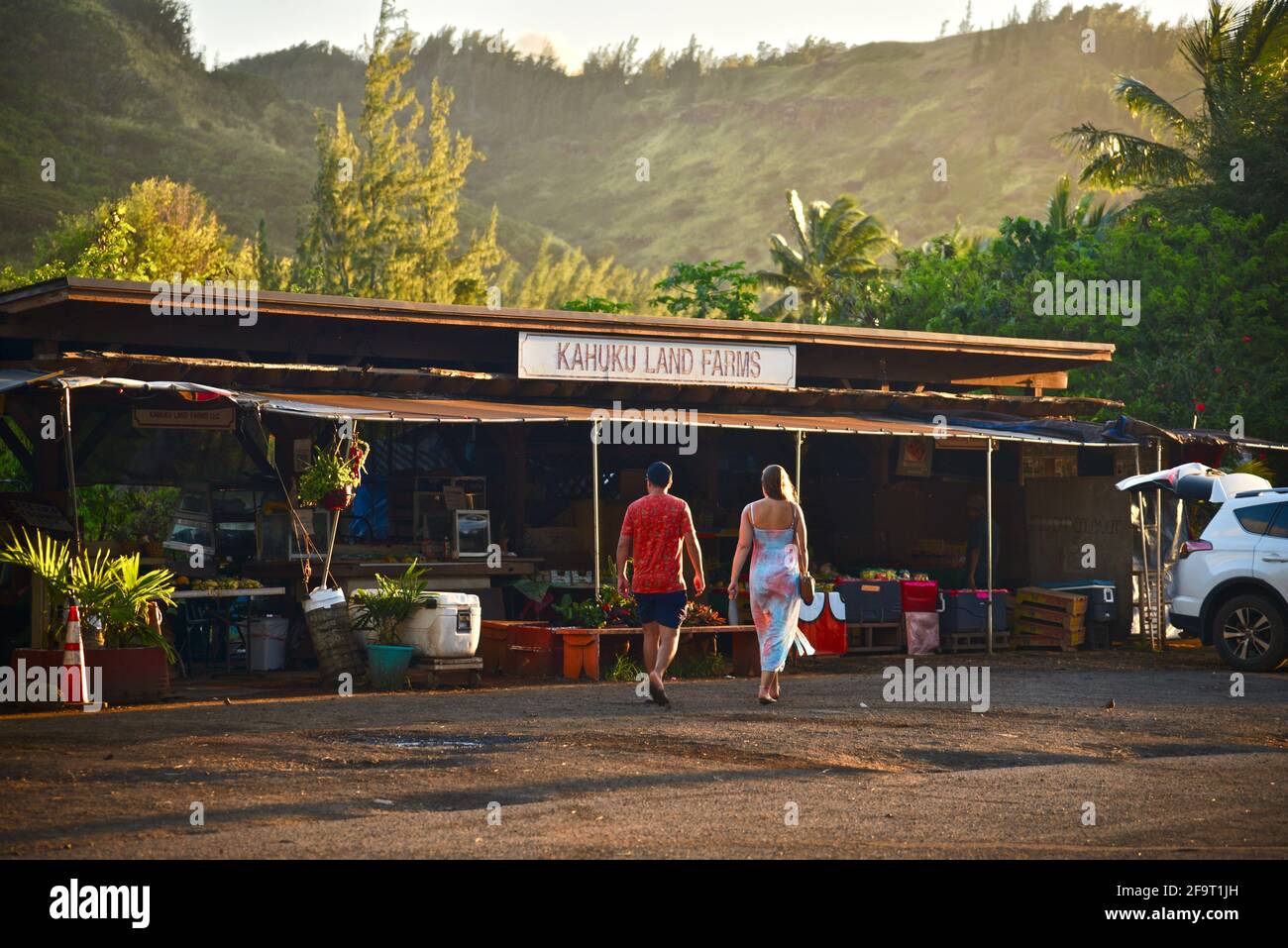 Young couple shopping during sunset at roadside farm market stand at ...