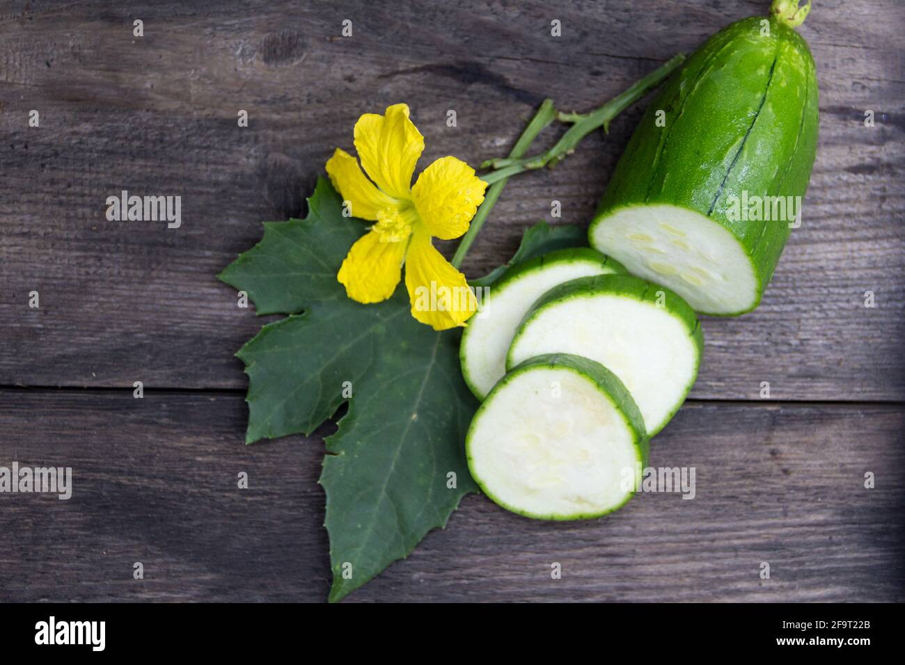fruit and flower of the green luffa that is used for Asian cuisine ...