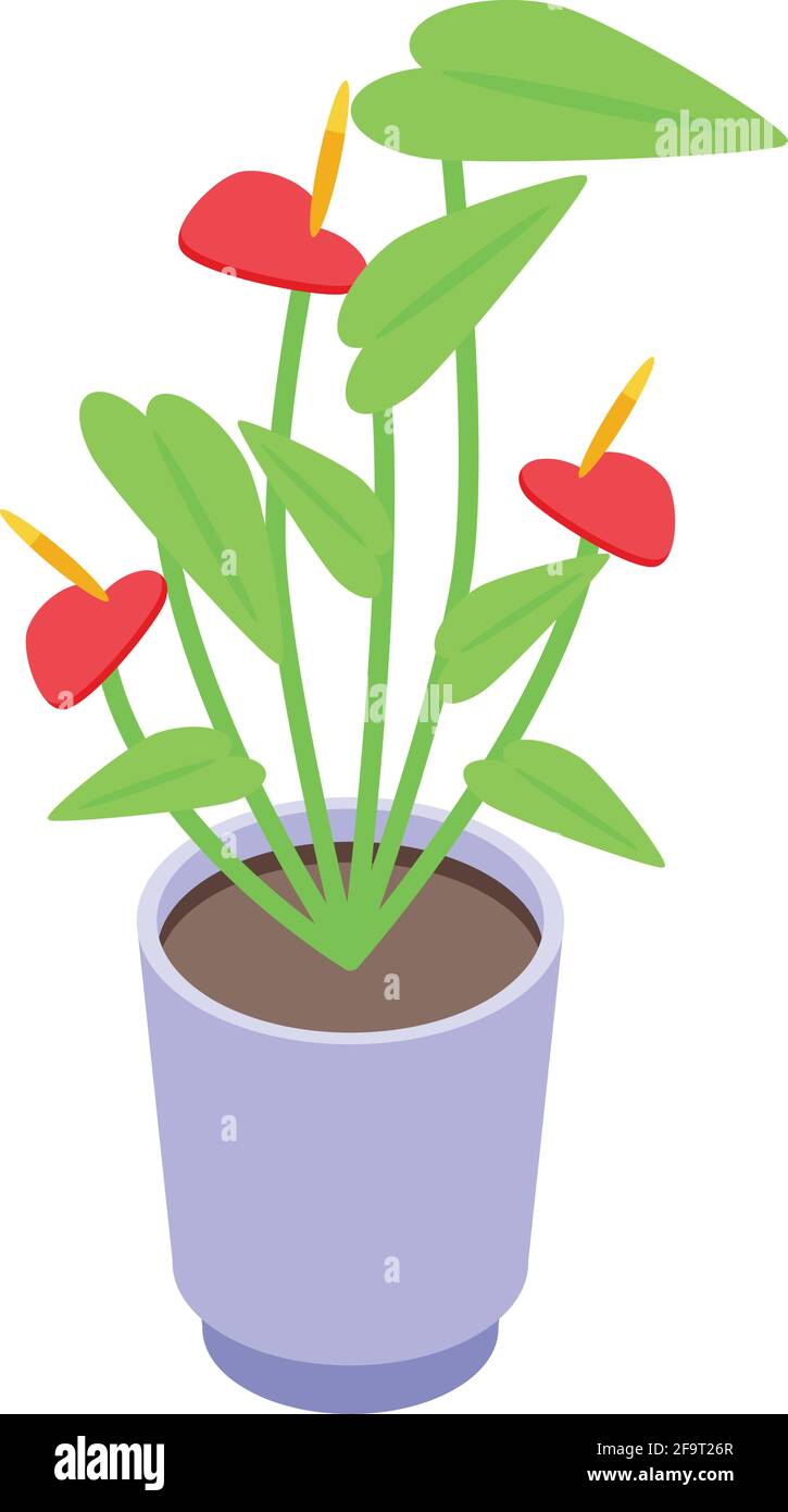 Flower allergy icon. Isometric of Flower allergy vector icon for web ...