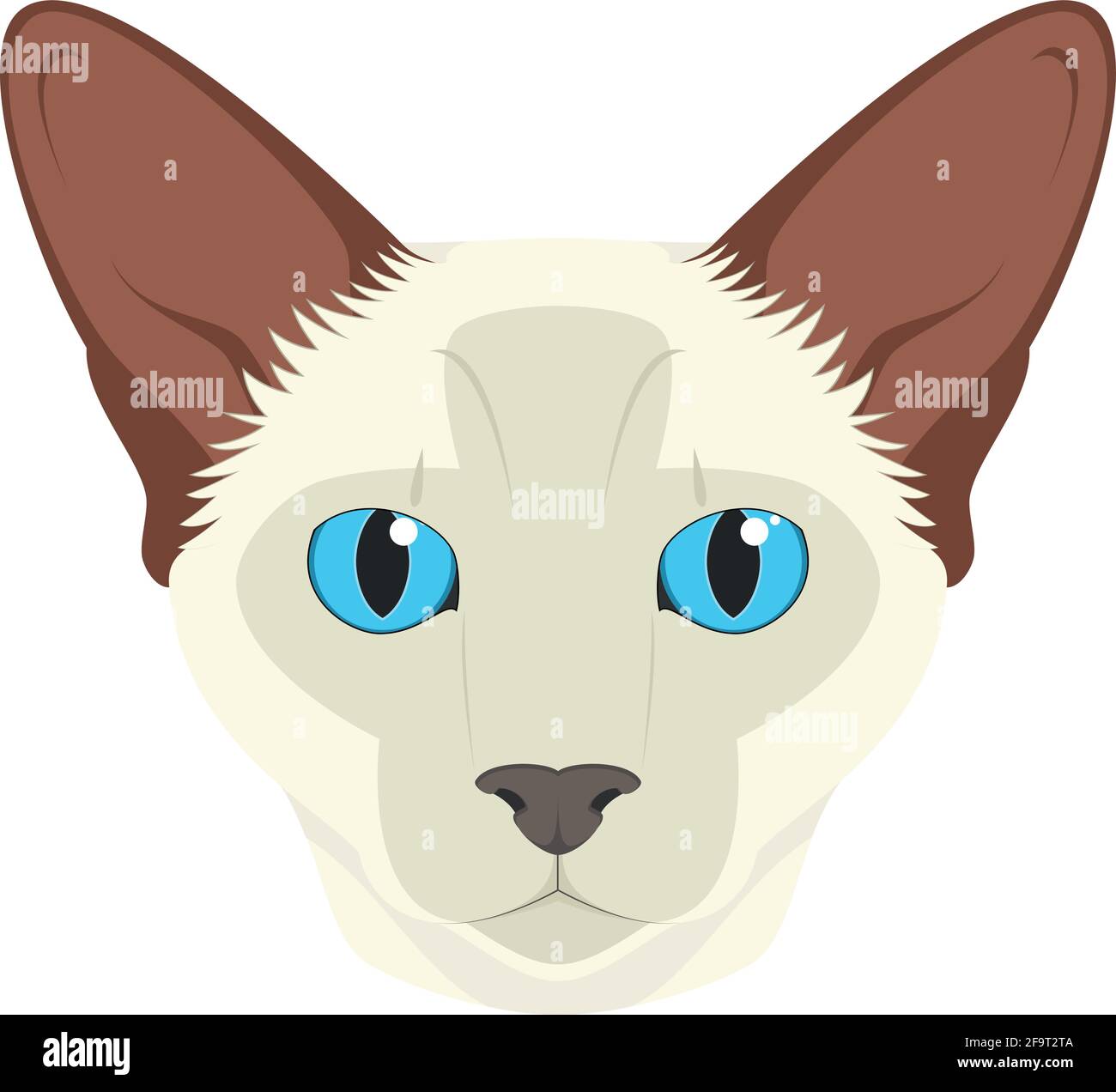 Balinese cat isolated on white background vector illustration Stock ...