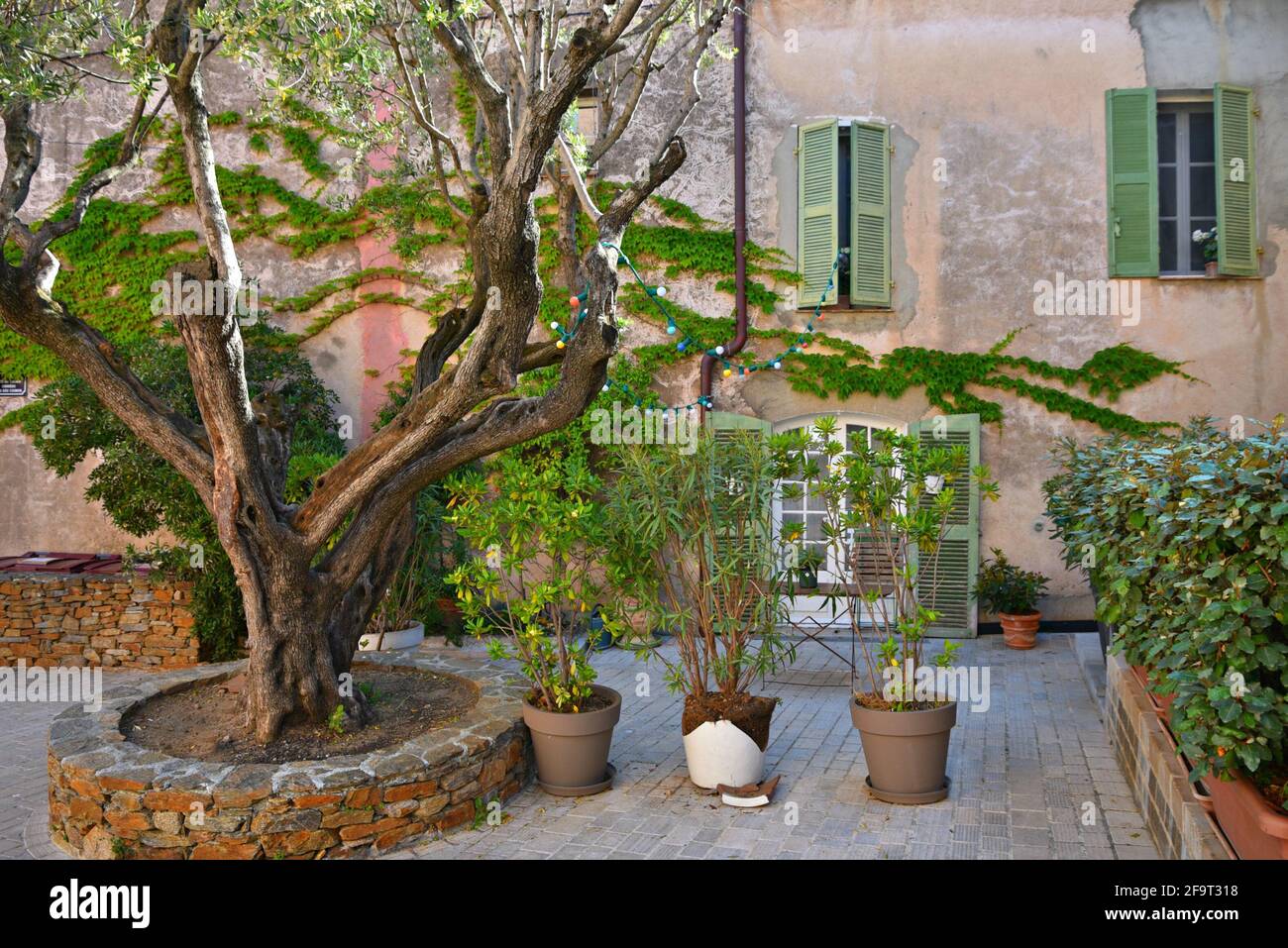 Typical picturesque Provençal style house patio in Saint-Tropez, French ...