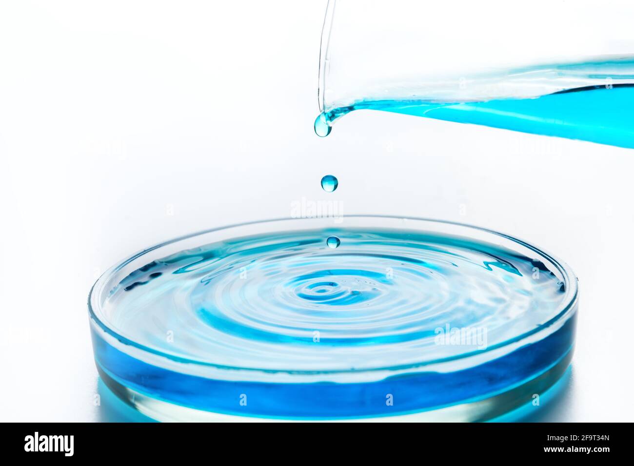 Pipette dropping liquid into Petri dish with blue liquid. Check the ...
