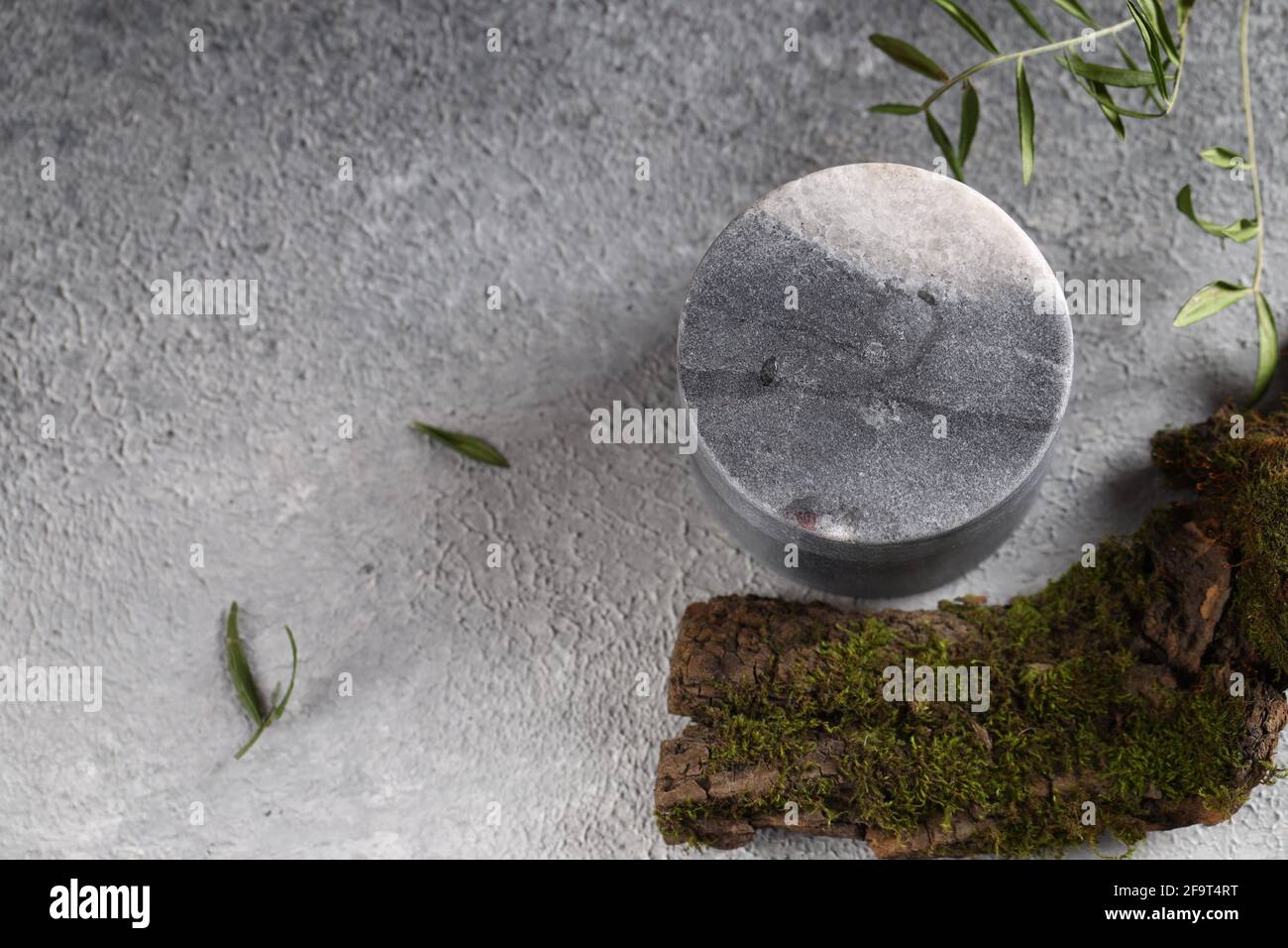 modern style organic background for design Stock Photo - Alamy