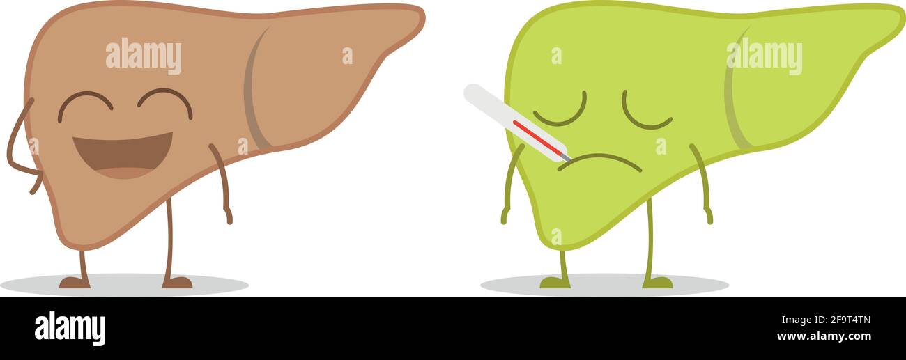 Healthy and sick liver isolated on white background vector illustration ...