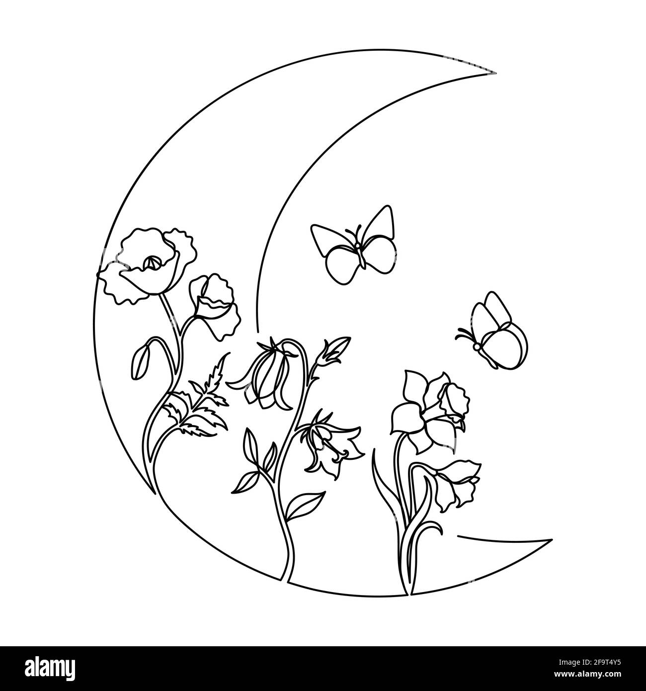 Wildflower in a hand drawn line art style Stock Vector Image & Art - Alamy