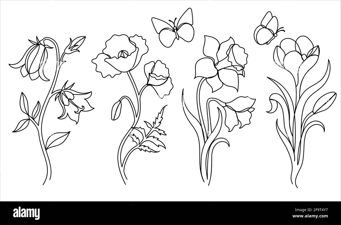 Wildflower in a hand drawn line art style Stock Vector Image & Art - Alamy