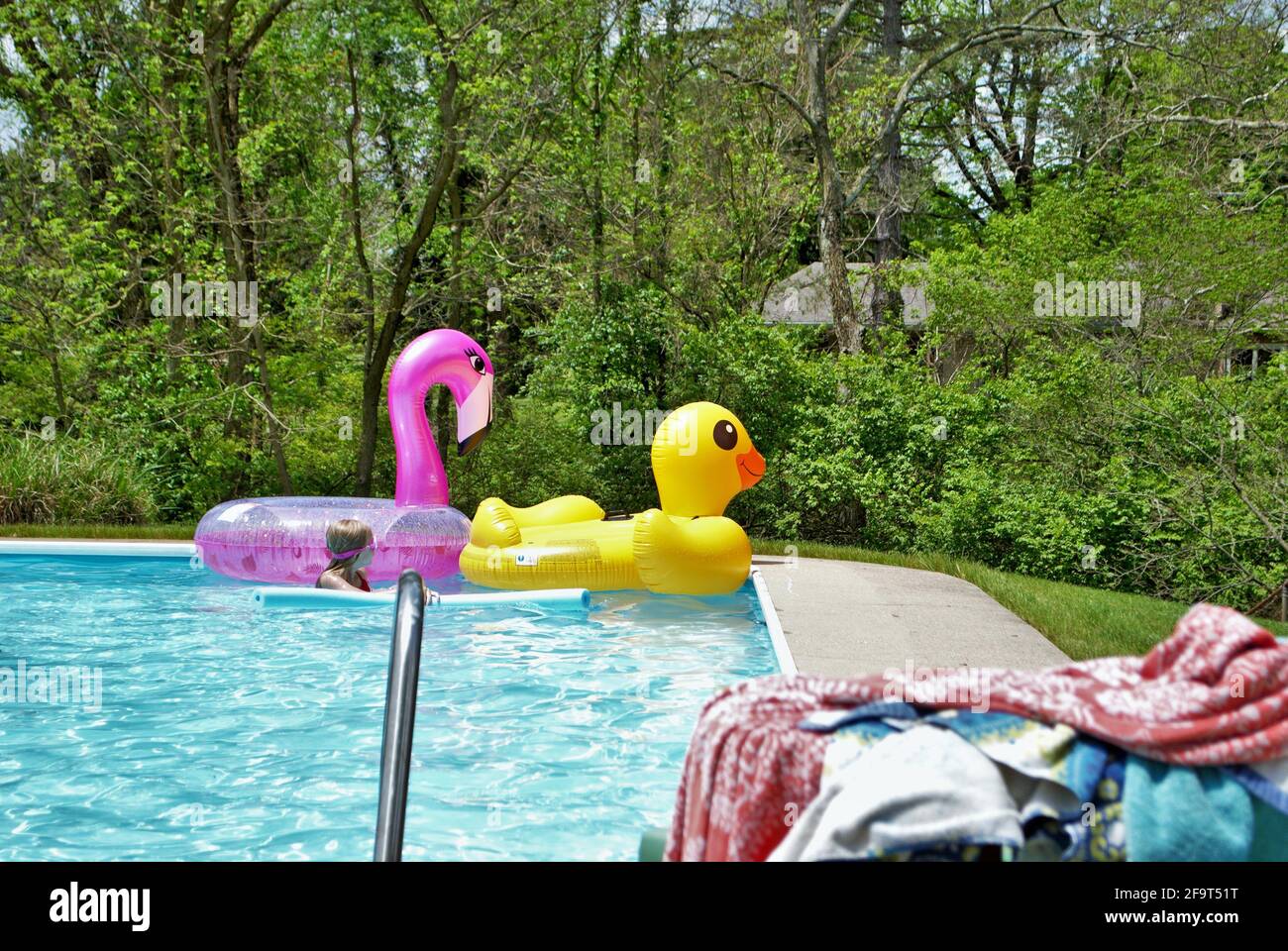 yellow duck and pink flamingo inflatable floating in a backyard ...