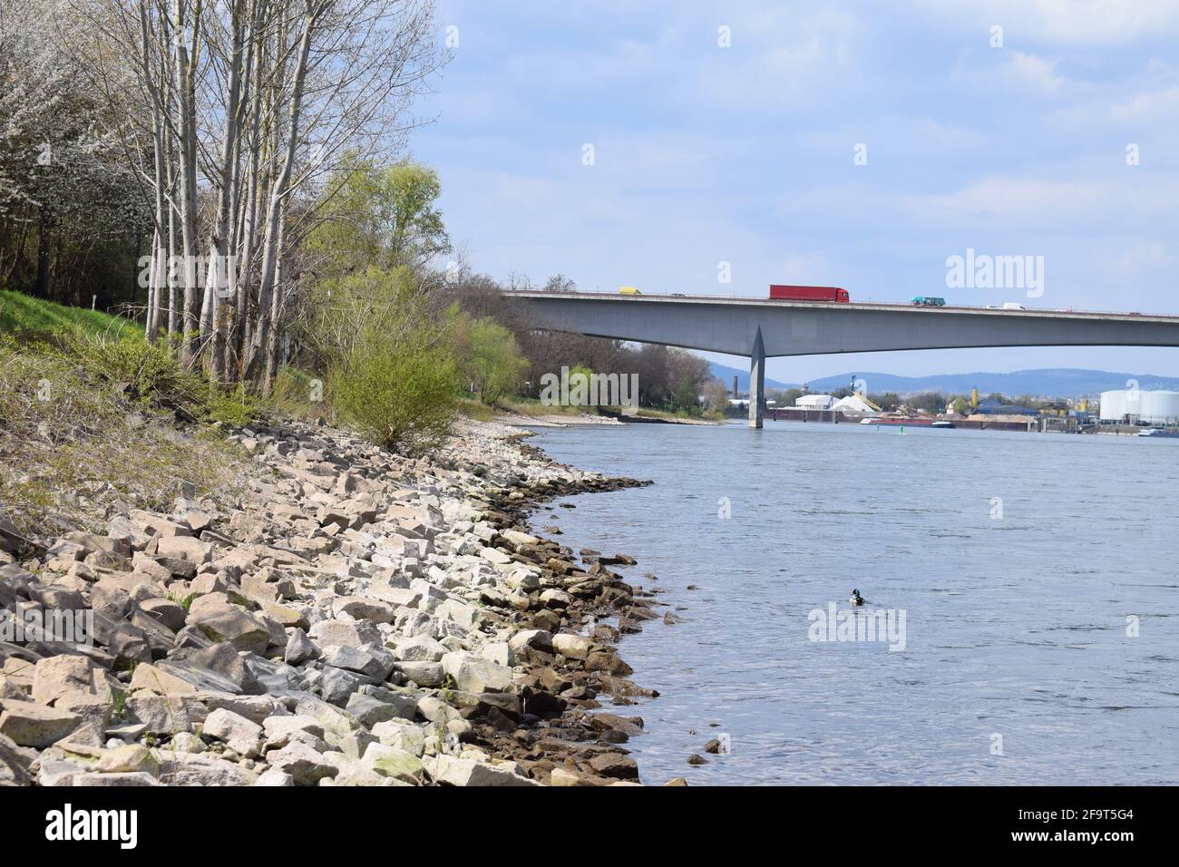 Autobahn Bridge across the Rhine Stock Photo - Alamy
