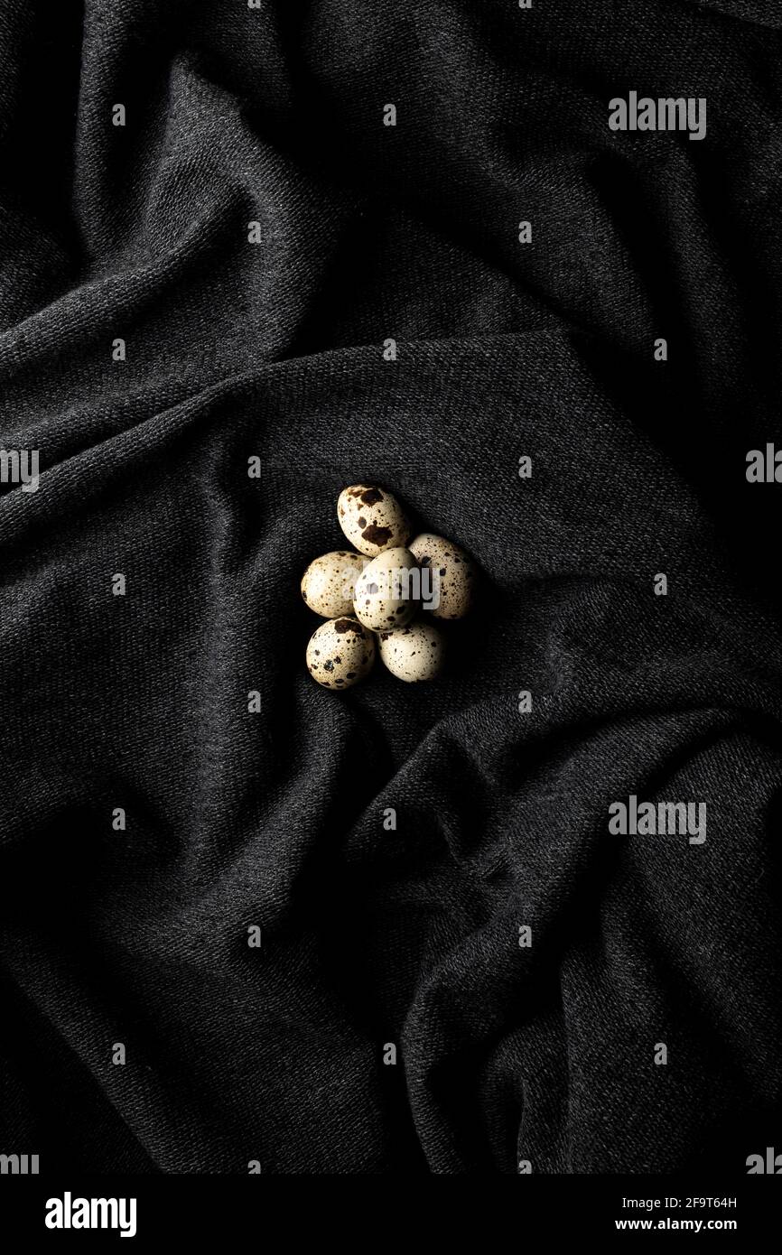 Eggs quail in texture Stock Photo - Alamy