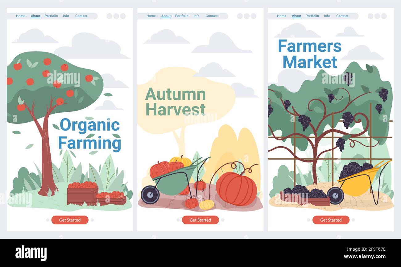 Flat cartoon fruits,vegetables crops harvest,landing page set,vector ...