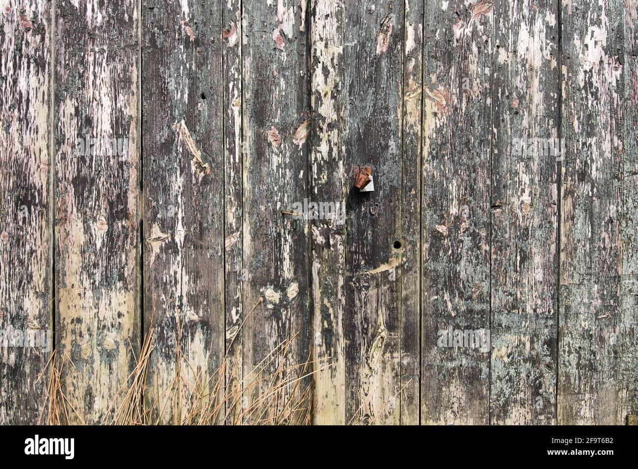 Peeling paint on barn doors at Grimwith Reservoir Stock Photo - Alamy