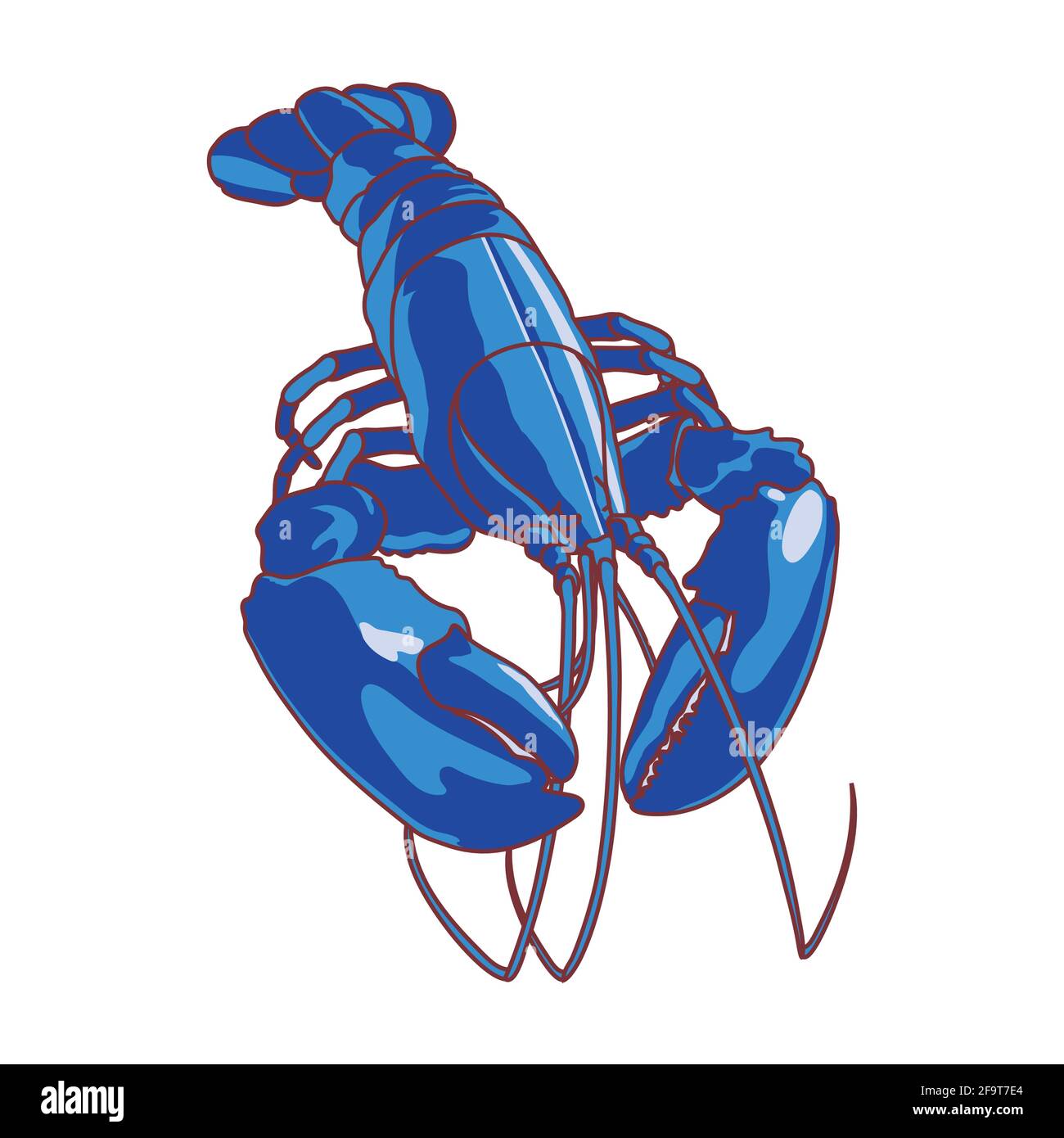 Crustation Cut Out Stock Images & Pictures - Alamy