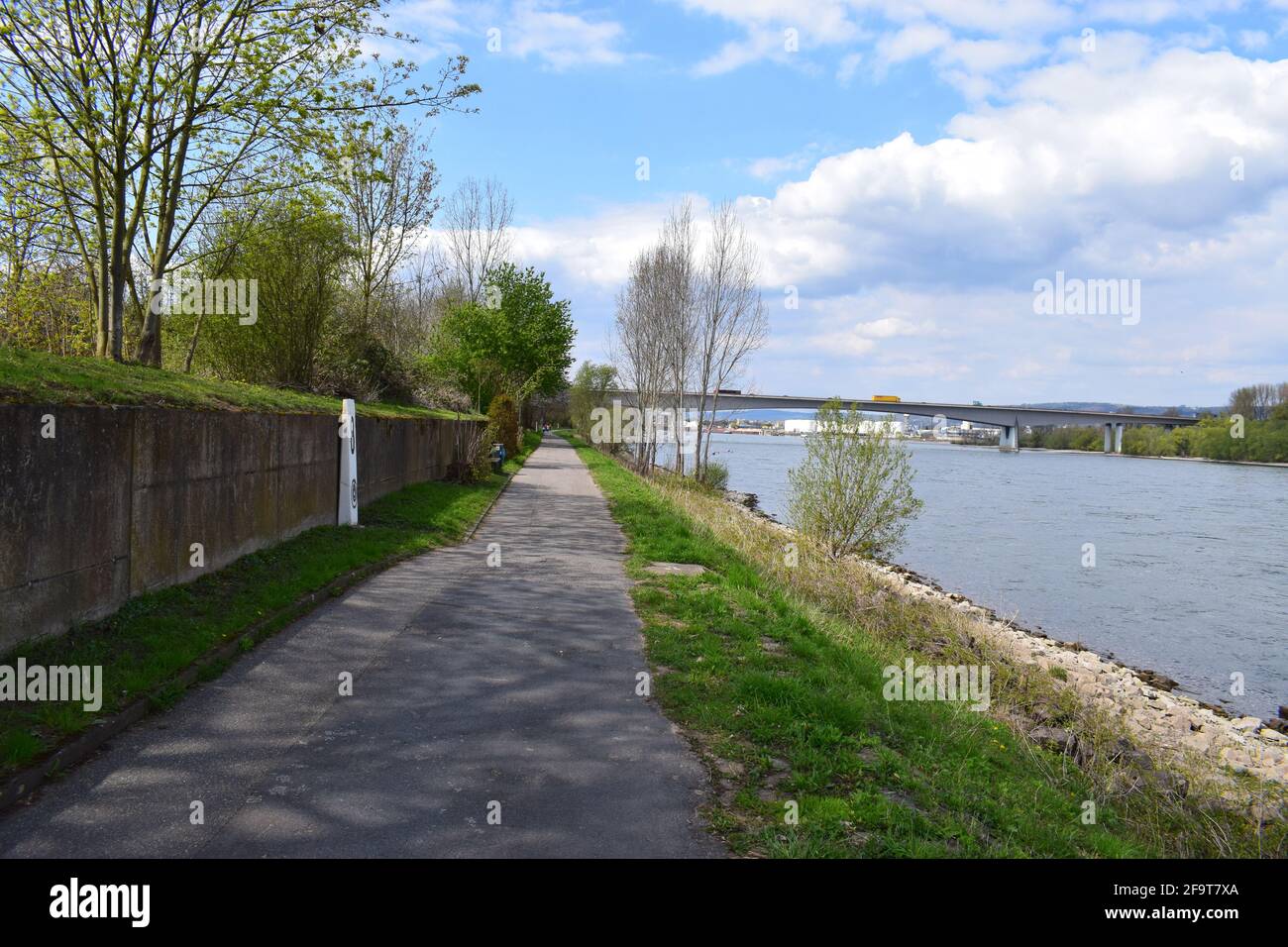 Autobahn Bridge across the Rhine Stock Photo - Alamy