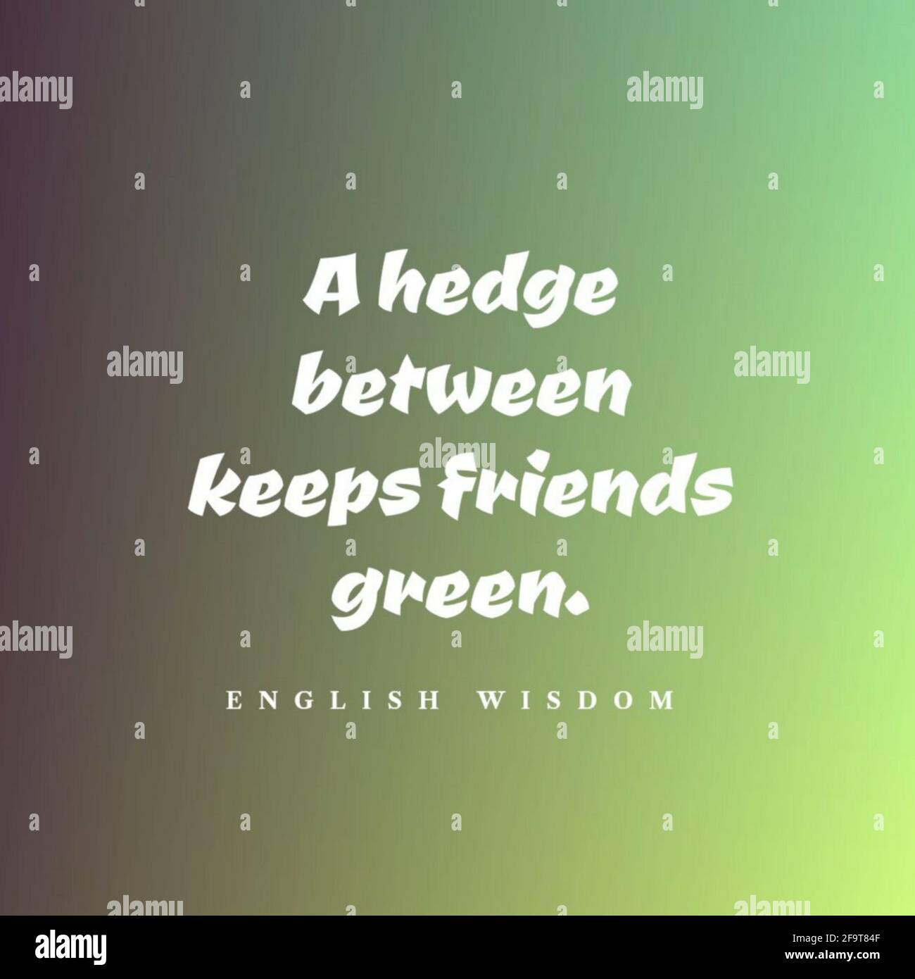 English wisdom's quote - A hedge between keeps friends green Stock ...
