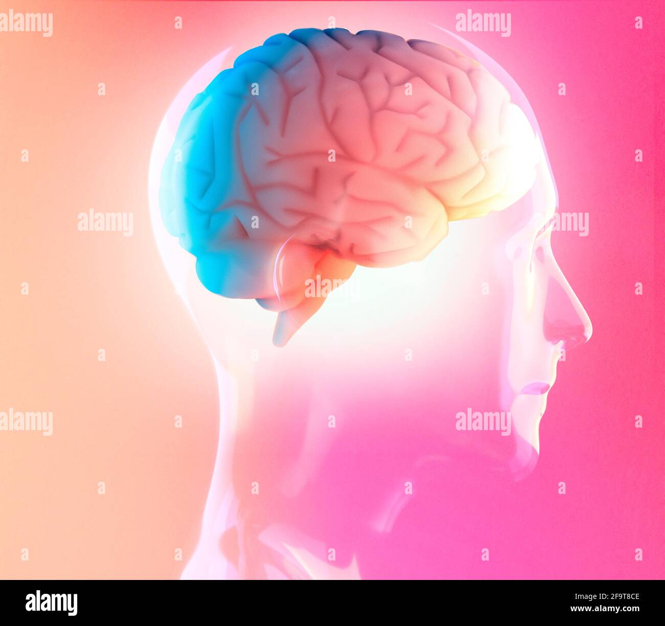 Brain potential. Ideas and innovation. Free your mind. Synapses and ...