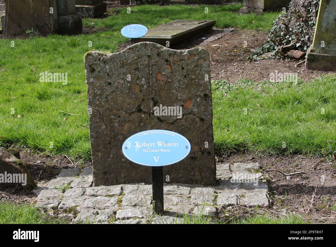 Scotland, Ayrshire,Mauchline Church, Graveyard, 16 Apr 2021. Marked ...