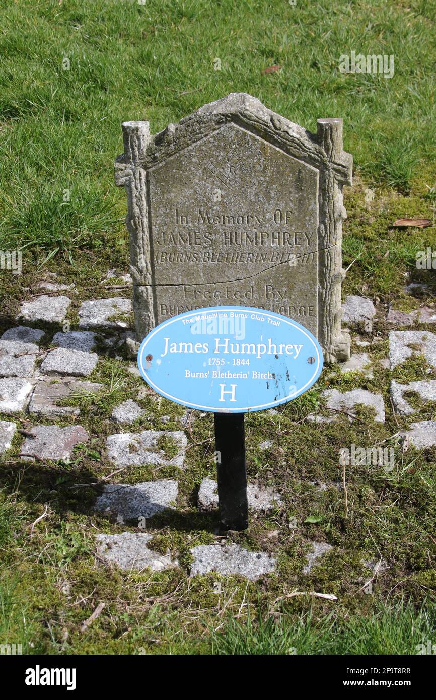 Scotland, Ayrshire,Mauchline Church, Graveyard, 16 Apr 2021. Marked ...