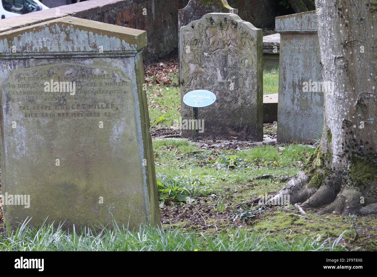 Scotland, Ayrshire,Mauchline Church, Graveyard, 16 Apr 2021. Marked ...