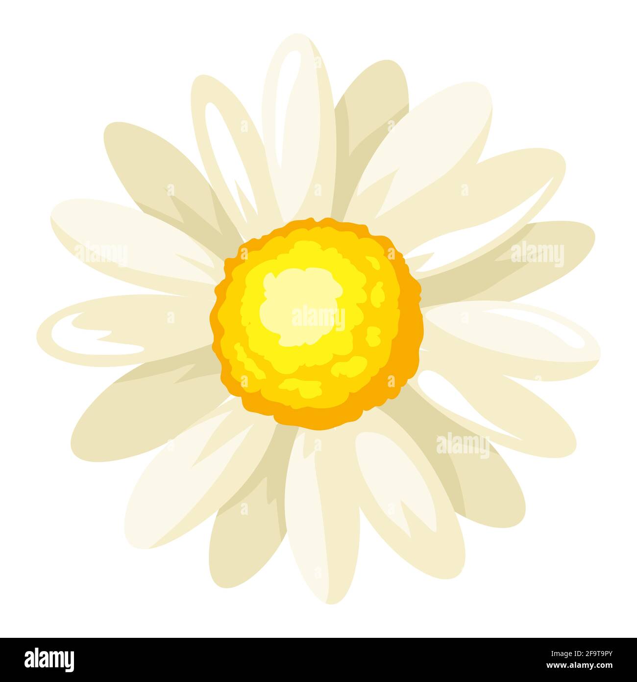 Chamomile tea isolated Stock Vector Images - Alamy