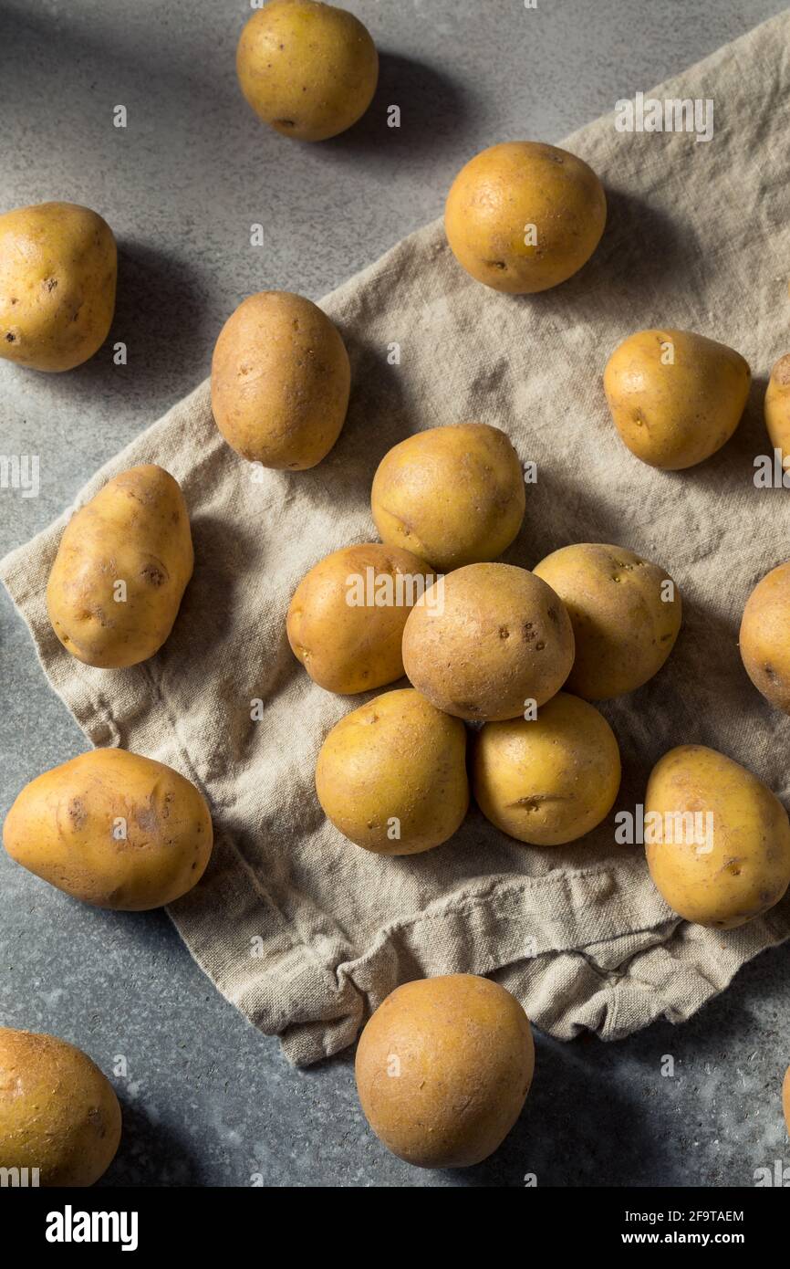 Raw Organic Yellow Potatoes Ready to Cook Stock Photo - Alamy