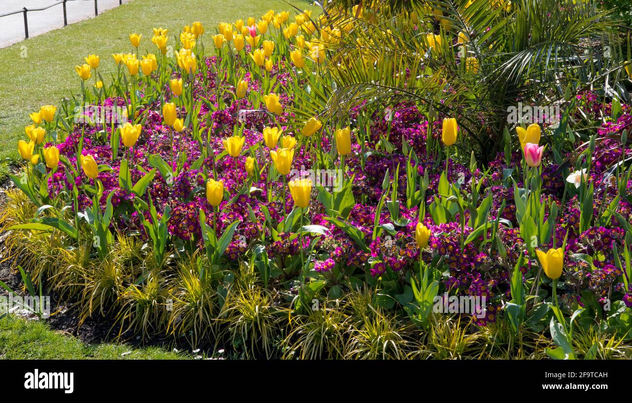 Park park park park spring hi-res stock photography and images - Alamy