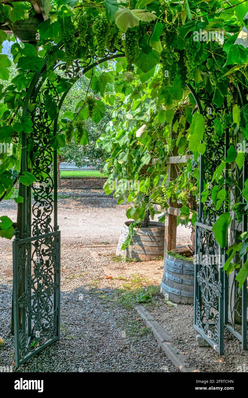 Pathway with a gate hi-res stock photography and images - Alamy