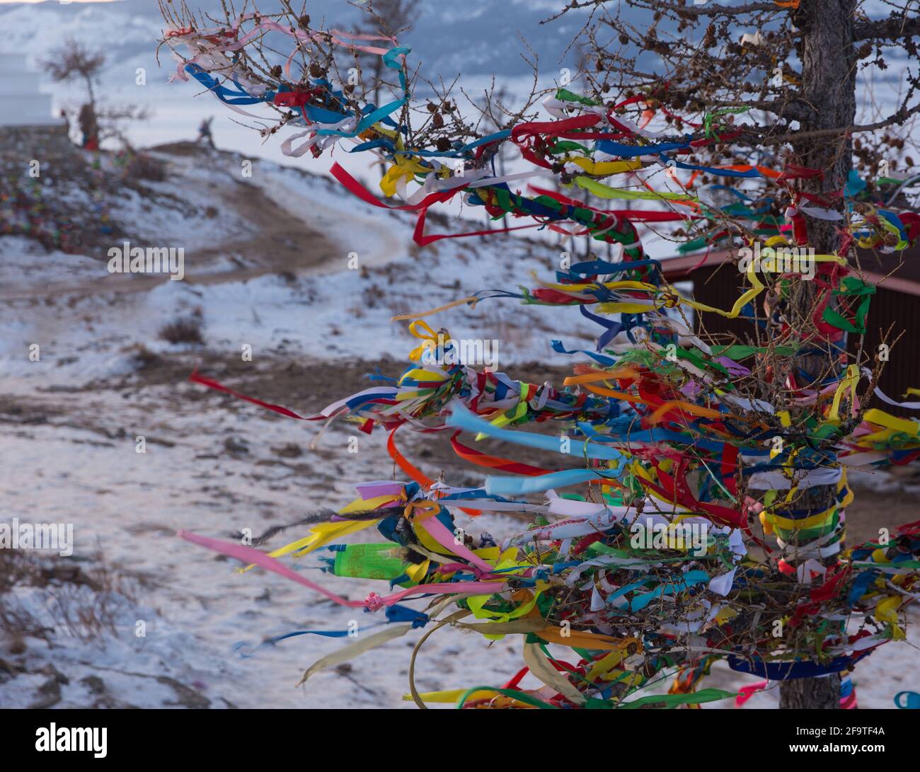 Colored ritual ribbons tied on the tree and wooden poles as a buddhist ...