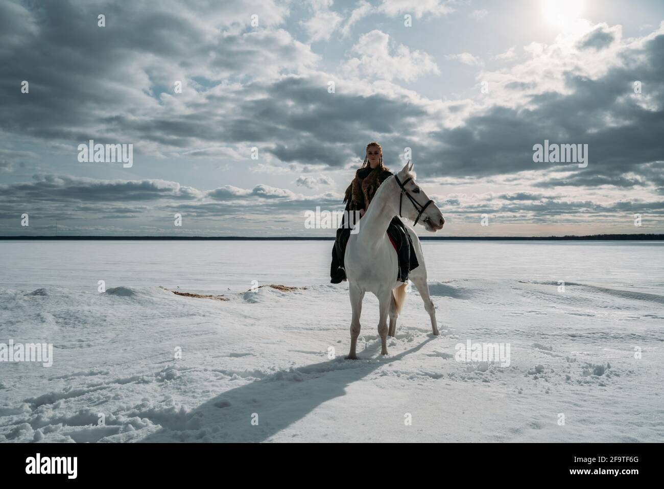 Viking warrior horse hi-res stock photography and images - Alamy