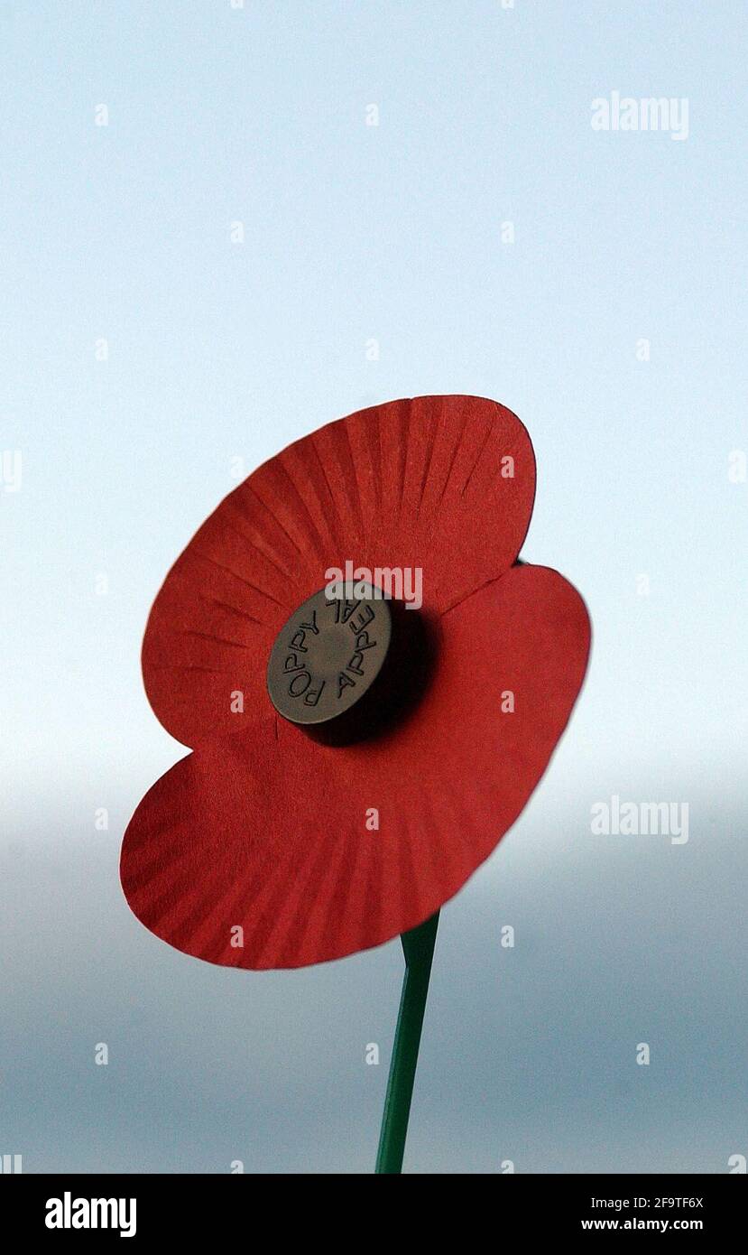 REMEMBRANCE DAY POPPY Stock Photo - Alamy