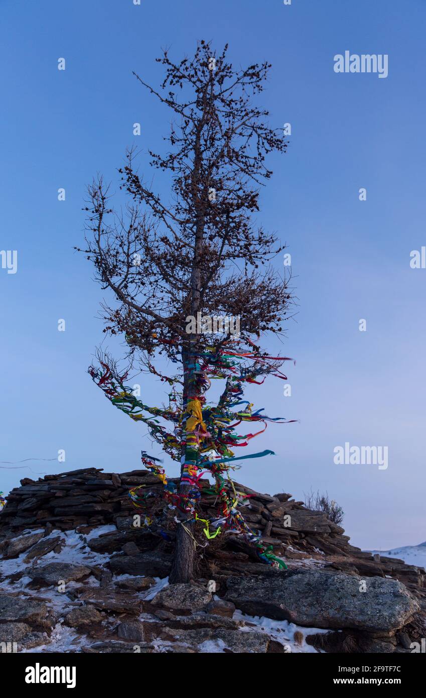 Colored ritual ribbons tied on the tree and wooden poles as a buddhist ...