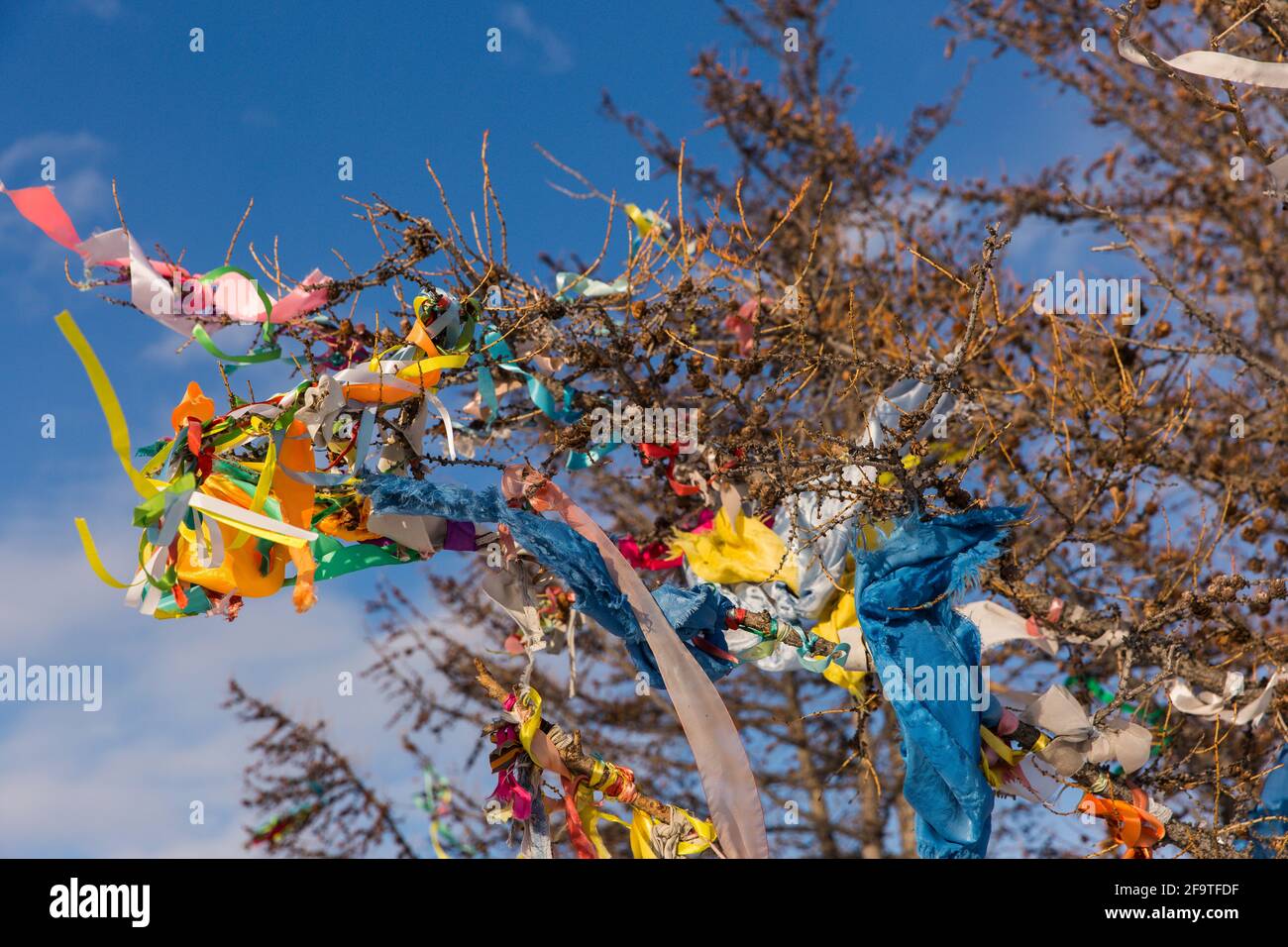 Colored ritual ribbons tied on the tree and wooden poles as a buddhist ...