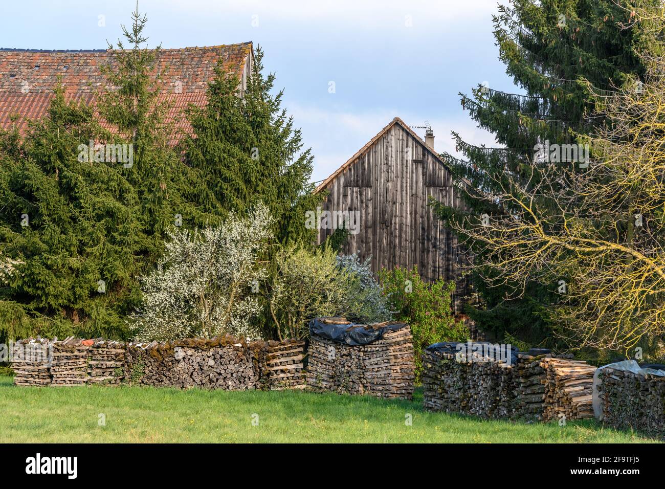 Old barn in a blooming garden in spring in France Stock Photo - Alamy