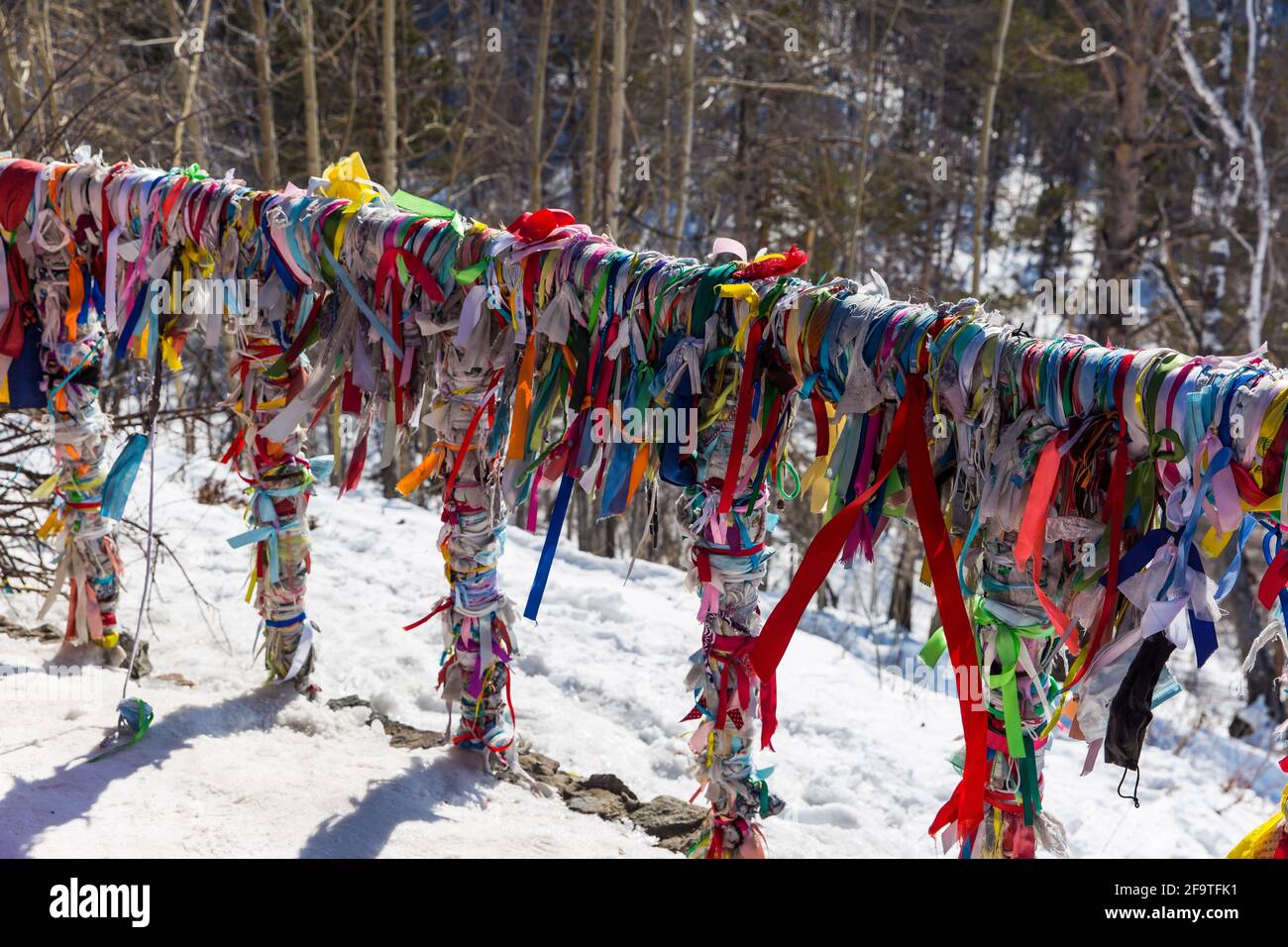 Colored ritual ribbons tied on the tree and wooden poles as a buddhist ...