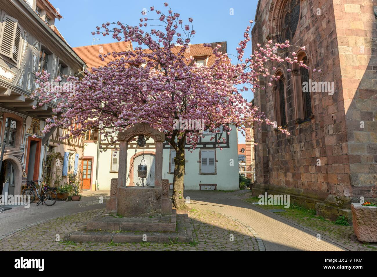 Old well in a square with a pink cherry blossom in spring.France ...