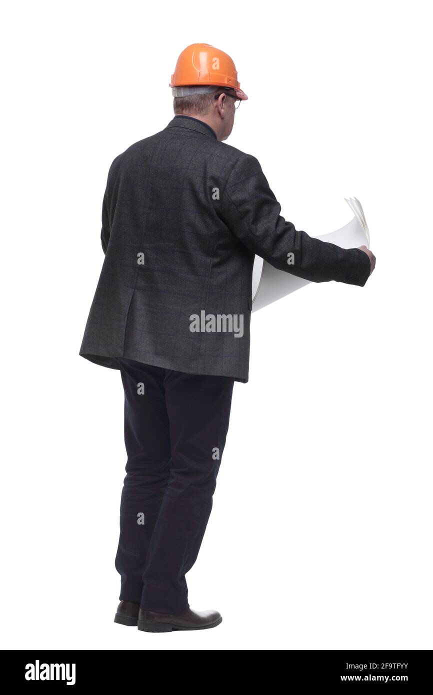 rear view. the architect is a professional reading the drawing Stock ...