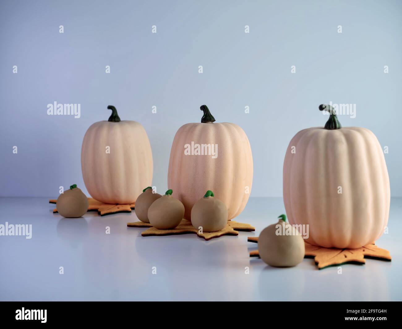 Isolated shot of fresh pumpkins with miniature pumpkins on a white ...