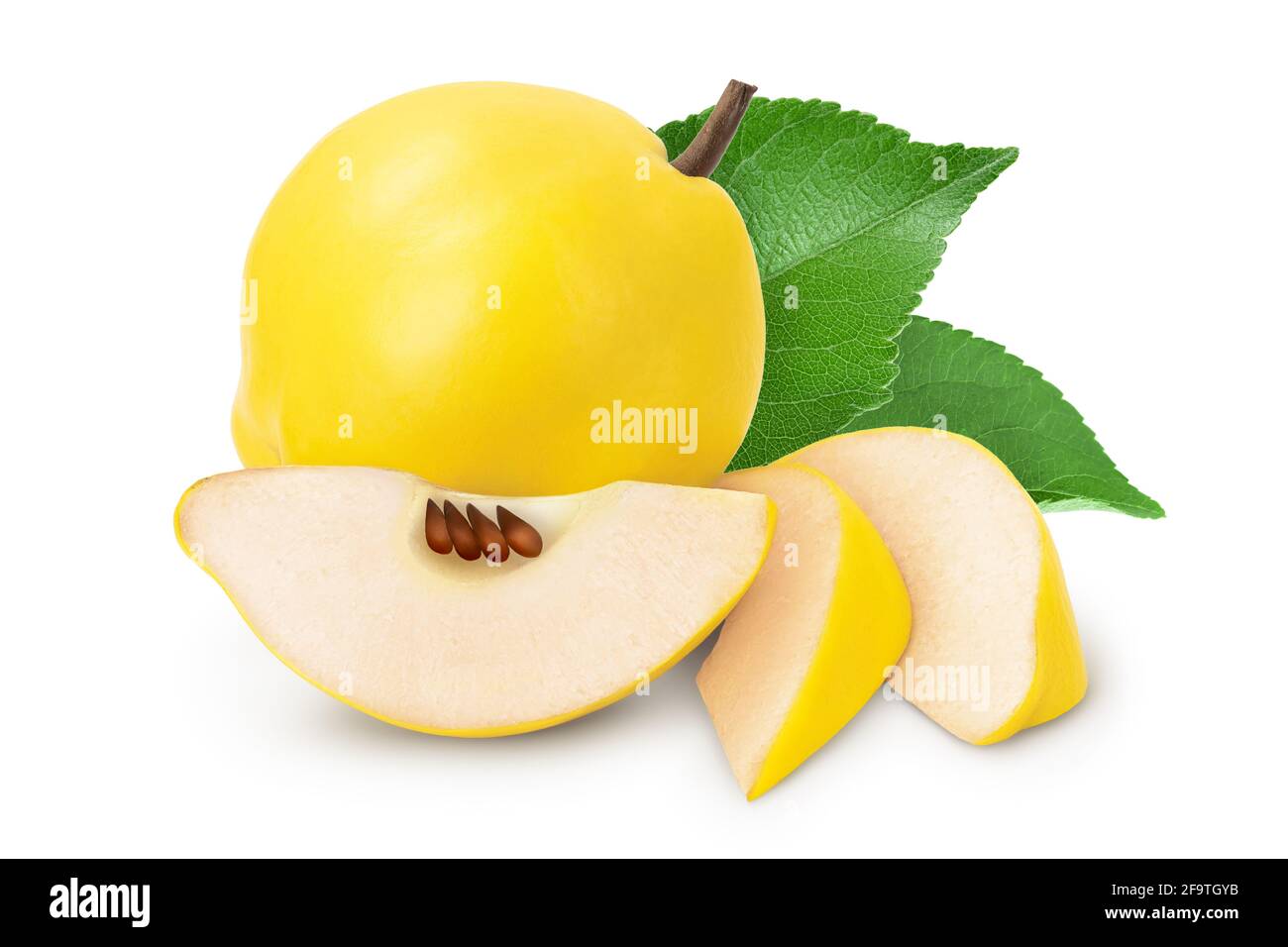 Fresh cut quince isolated on the white background with clipping path ...