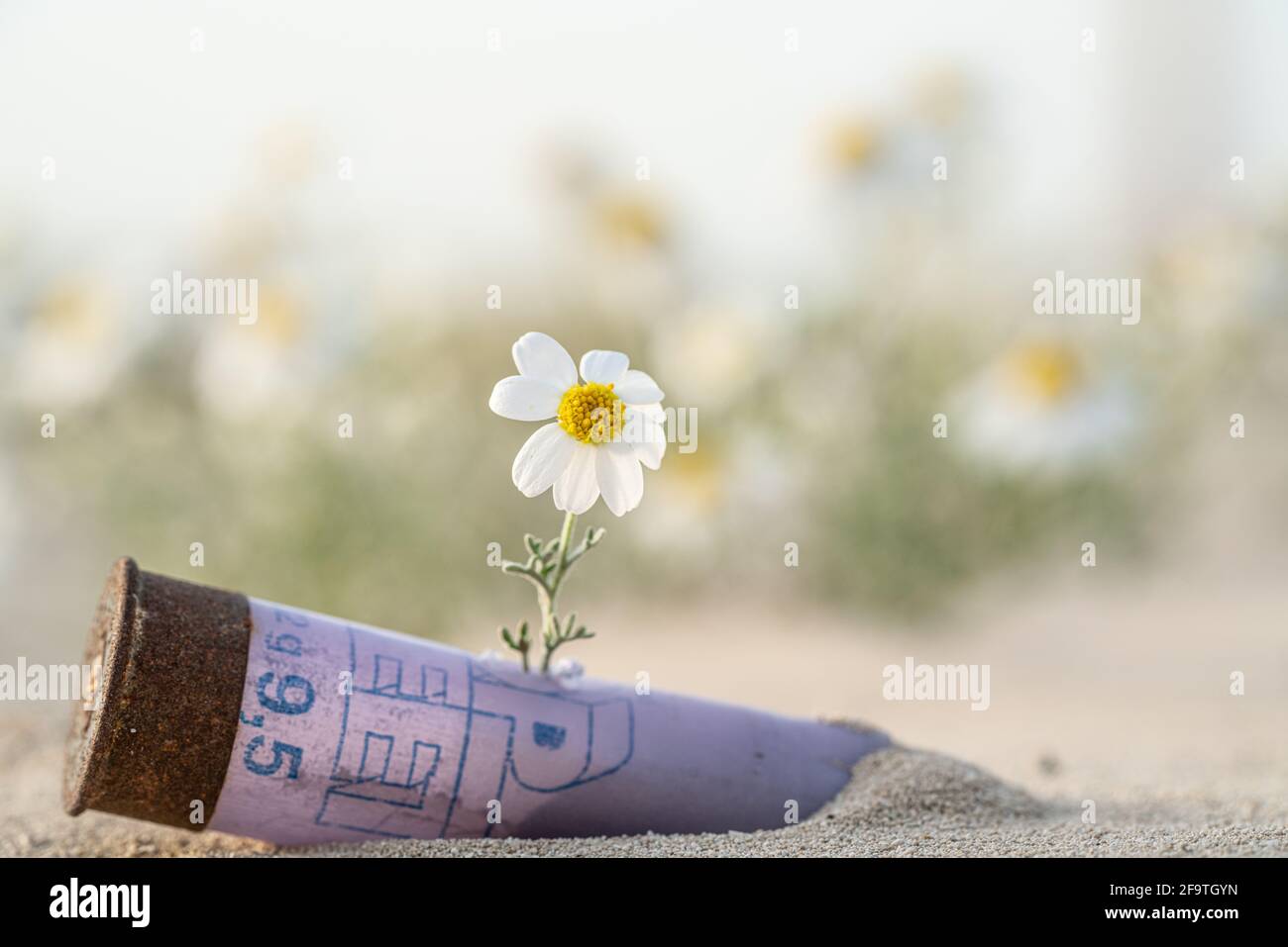 Flower high resolution hi-res stock photography and images - Alamy