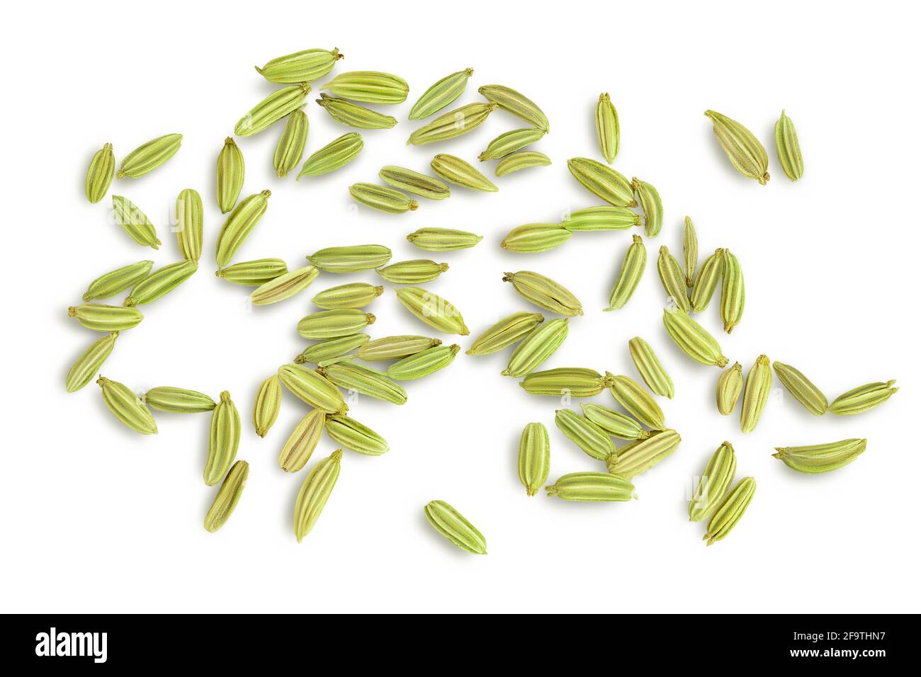 Dried fennel seeds isolated on white background with clipping path. Top ...