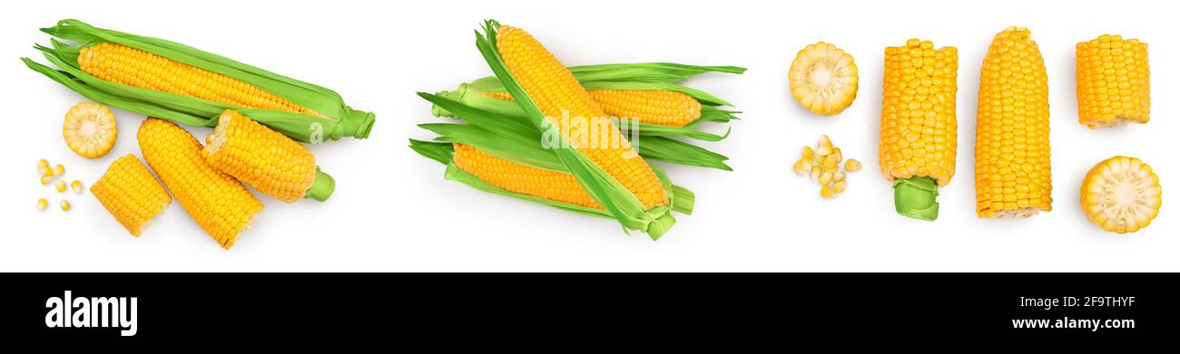 ear of corn isolated on a white background. Clipping path and full ...