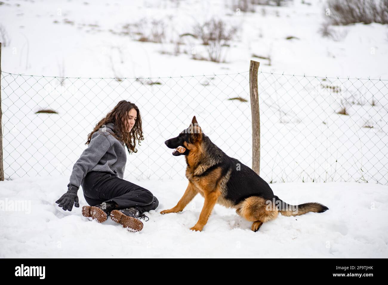 Brunette with dog hi-res stock photography and images - Alamy