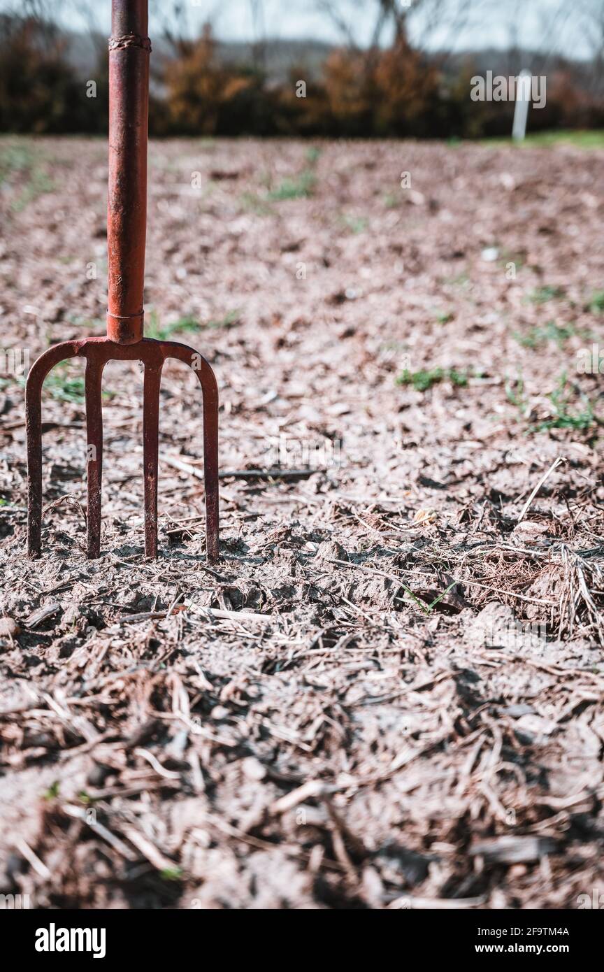 Fork stuck in soil hi-res stock photography and images - Alamy