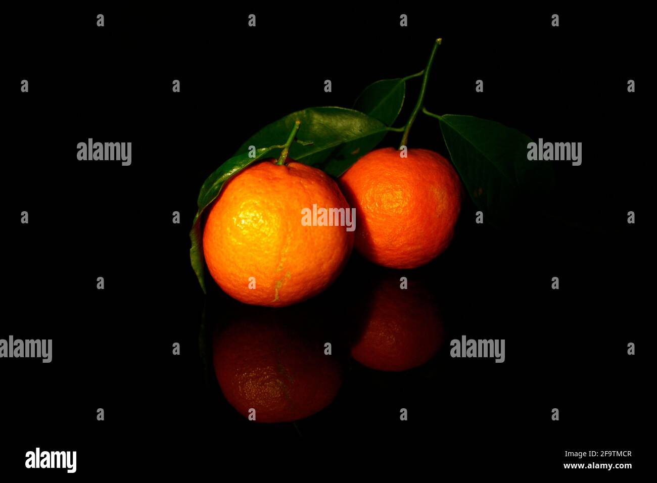 two mandarins with three leaves isolated on black with reflection Stock ...