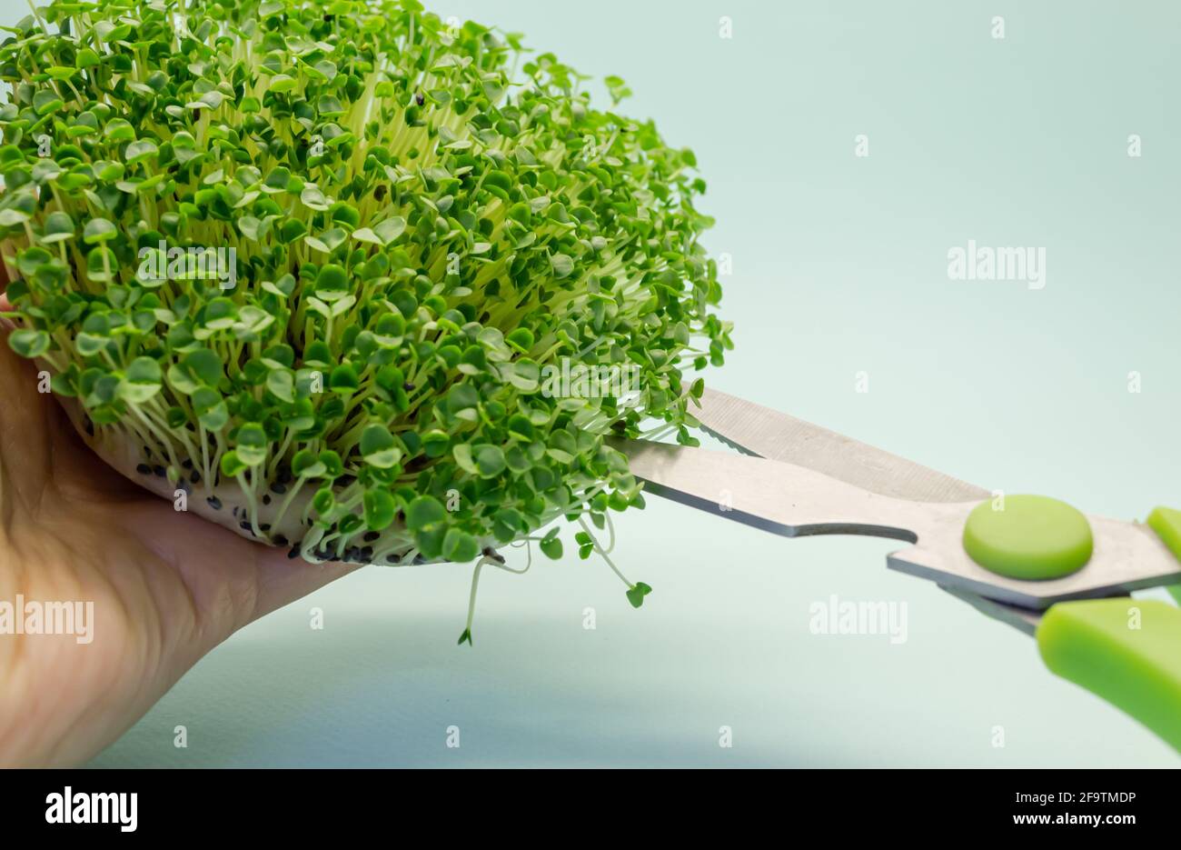 Baselik hi-res stock photography and images - Alamy