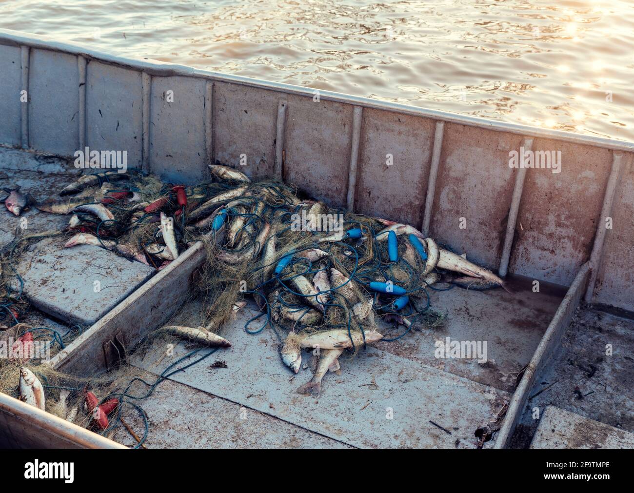 Sustainable fish farming hi-res stock photography and images - Alamy