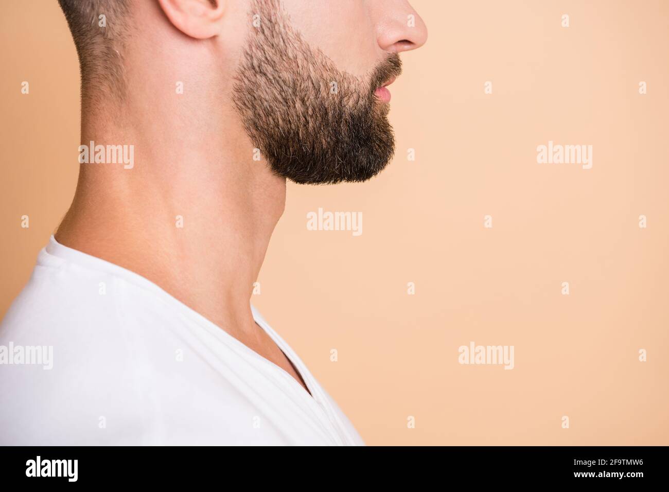 Side Profile Handsome Businessman Beard High Resolution Stock ...